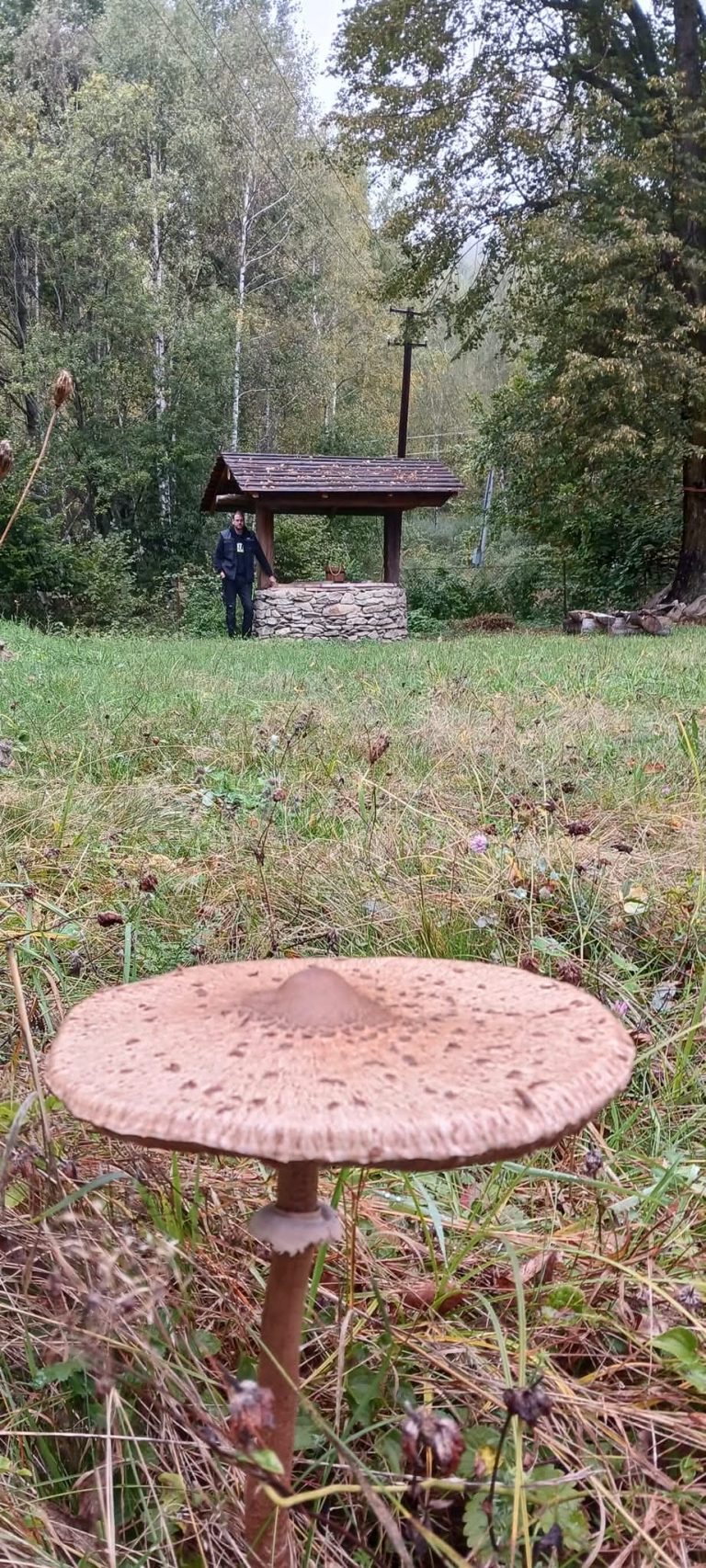 Slameniačik manželov Bútorovcov vracia v čase. Pobyt pri Ďubákove ...